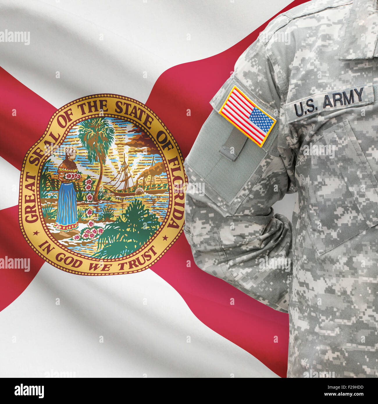 American soldier with US state flag on background series - Florida ...