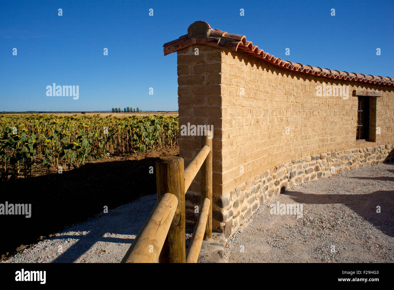 Farm with sunflowers field Stock Photo - Alamy