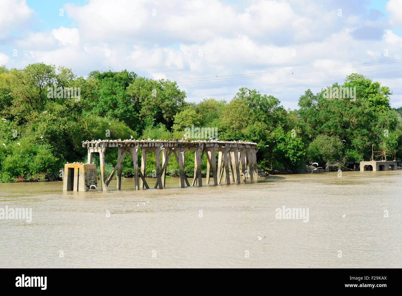 Loading jetty hi-res stock photography and images - Alamy