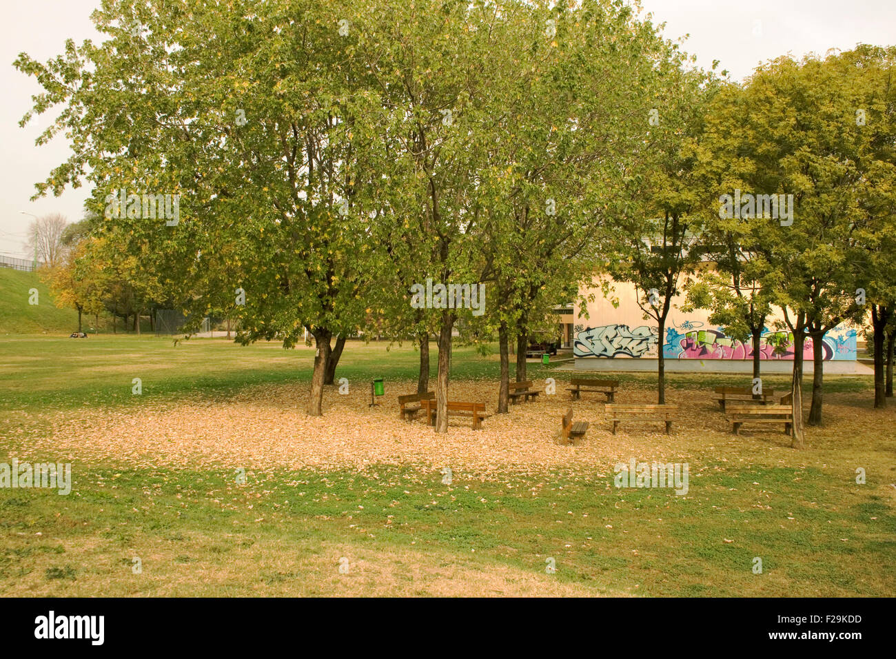 View of trees in the park Stock Photo - Alamy