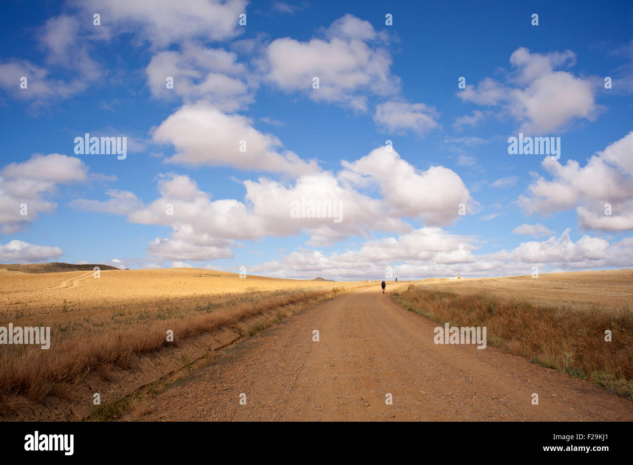 Pilgrims in nature hi-res stock photography and images - Alamy