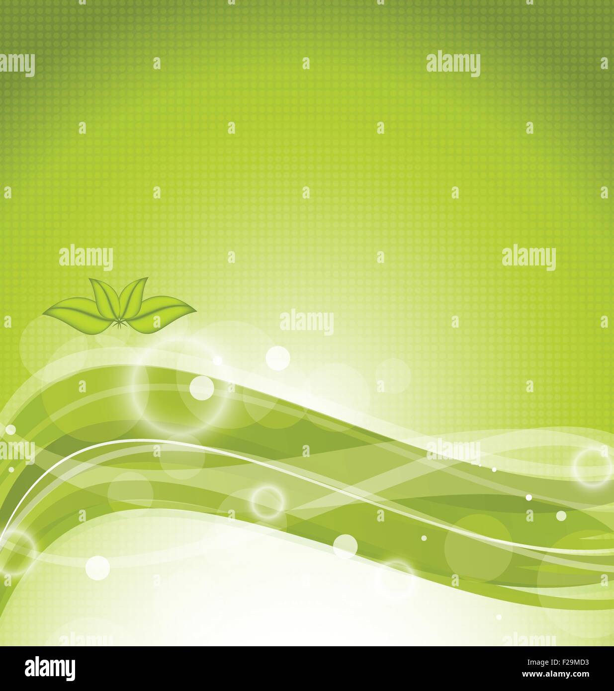Eco background with green leaves Stock Vector Image & Art - Alamy