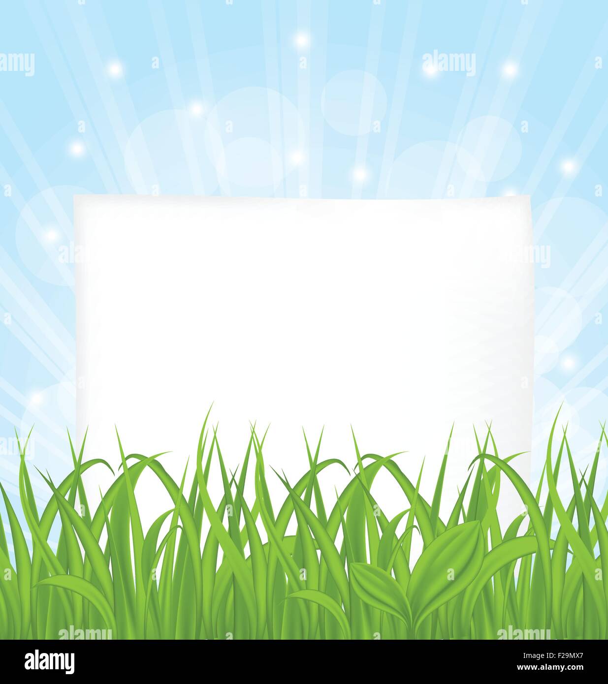 Natural card with green grass and paper sheet Stock Vector Image & Art ...