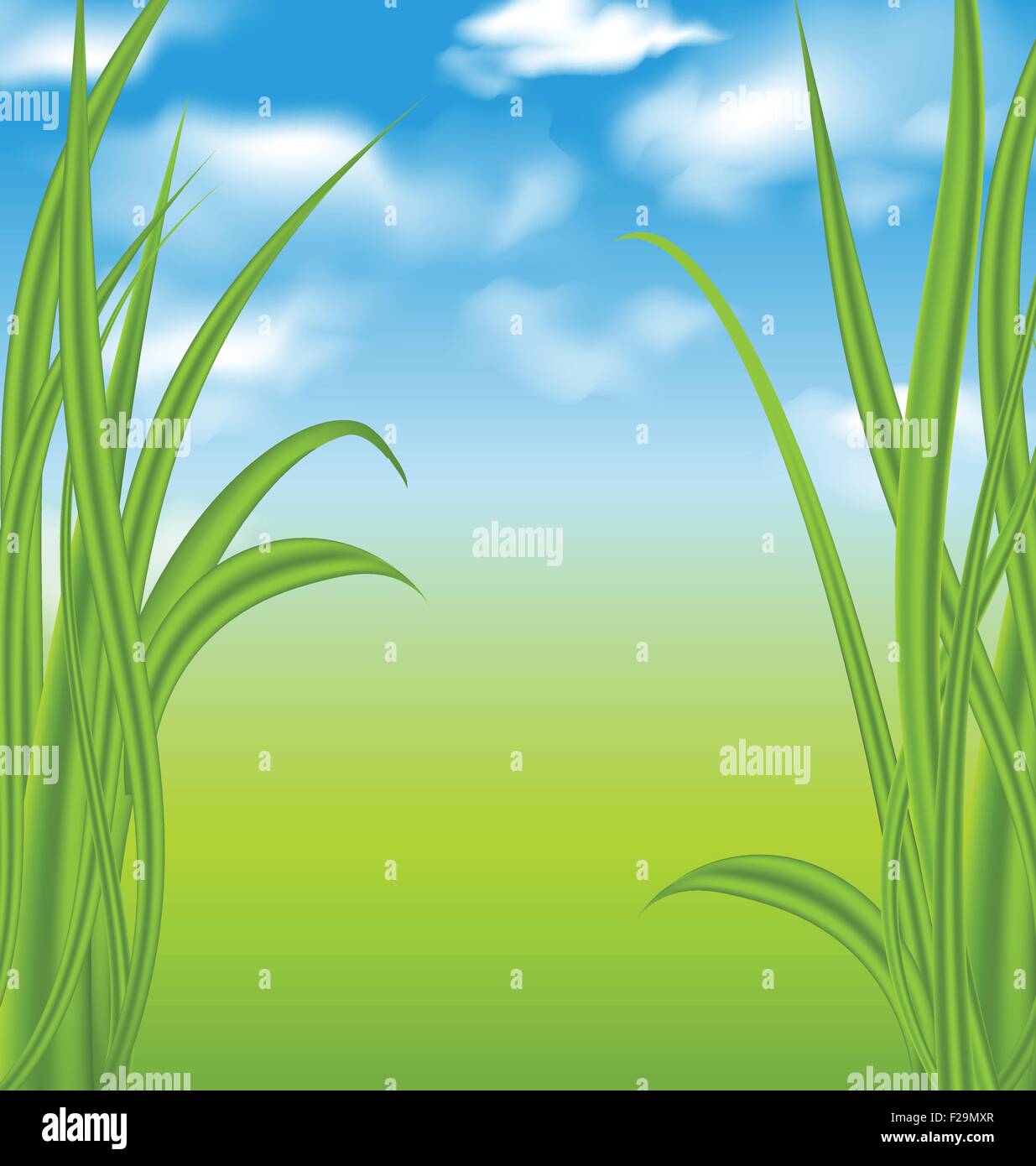 Nature background with green grass and sky Stock Vector Image & Art - Alamy