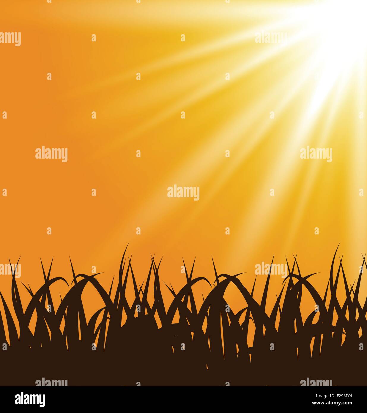 Solar dried Stock Vector Images - Alamy