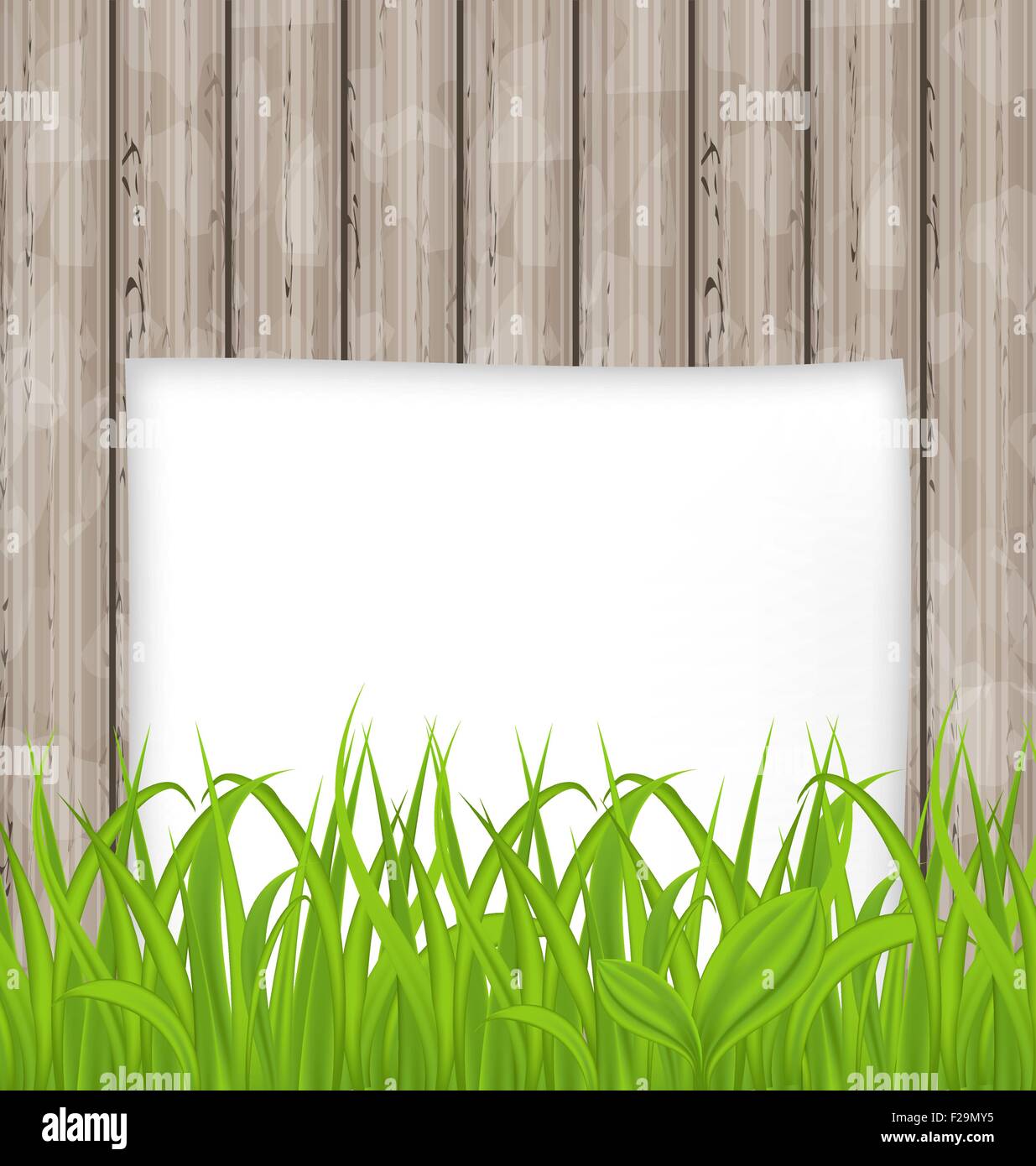 Green grass and paper sheet on wooden texture Stock Vector Image & Art ...