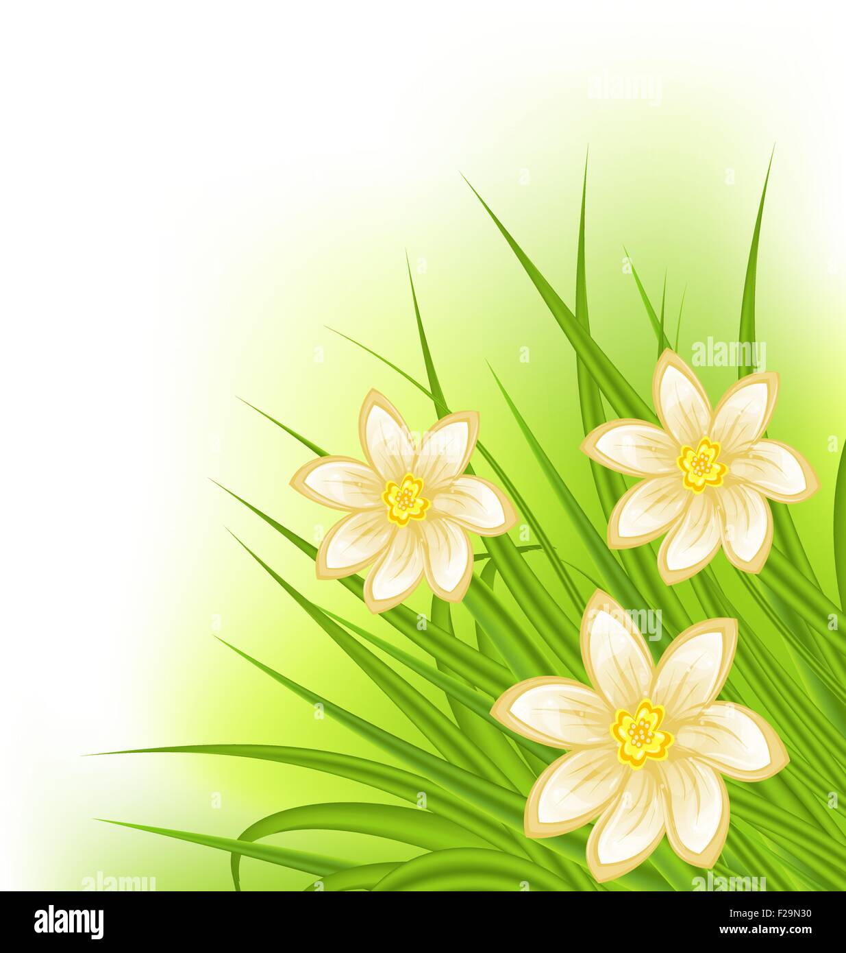 Green grass with flowers, spring background Stock Vector Image & Art ...