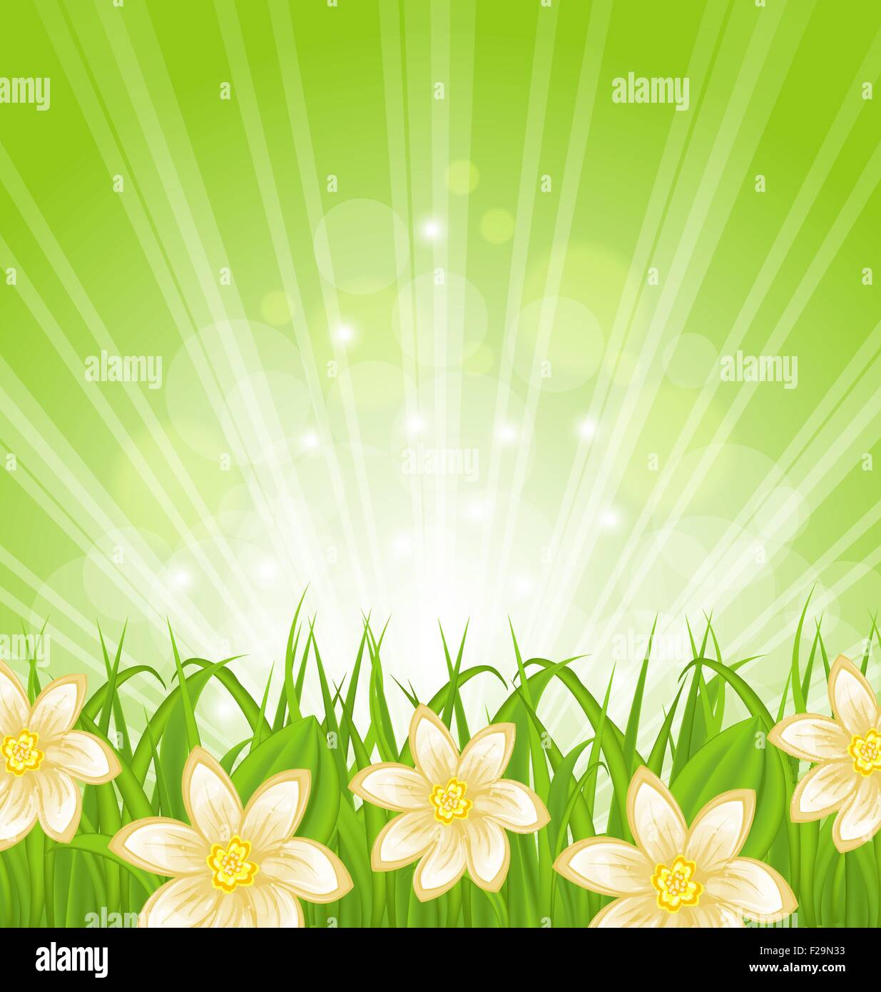 Spring background with green grass and flowers Stock Vector Image & Art ...