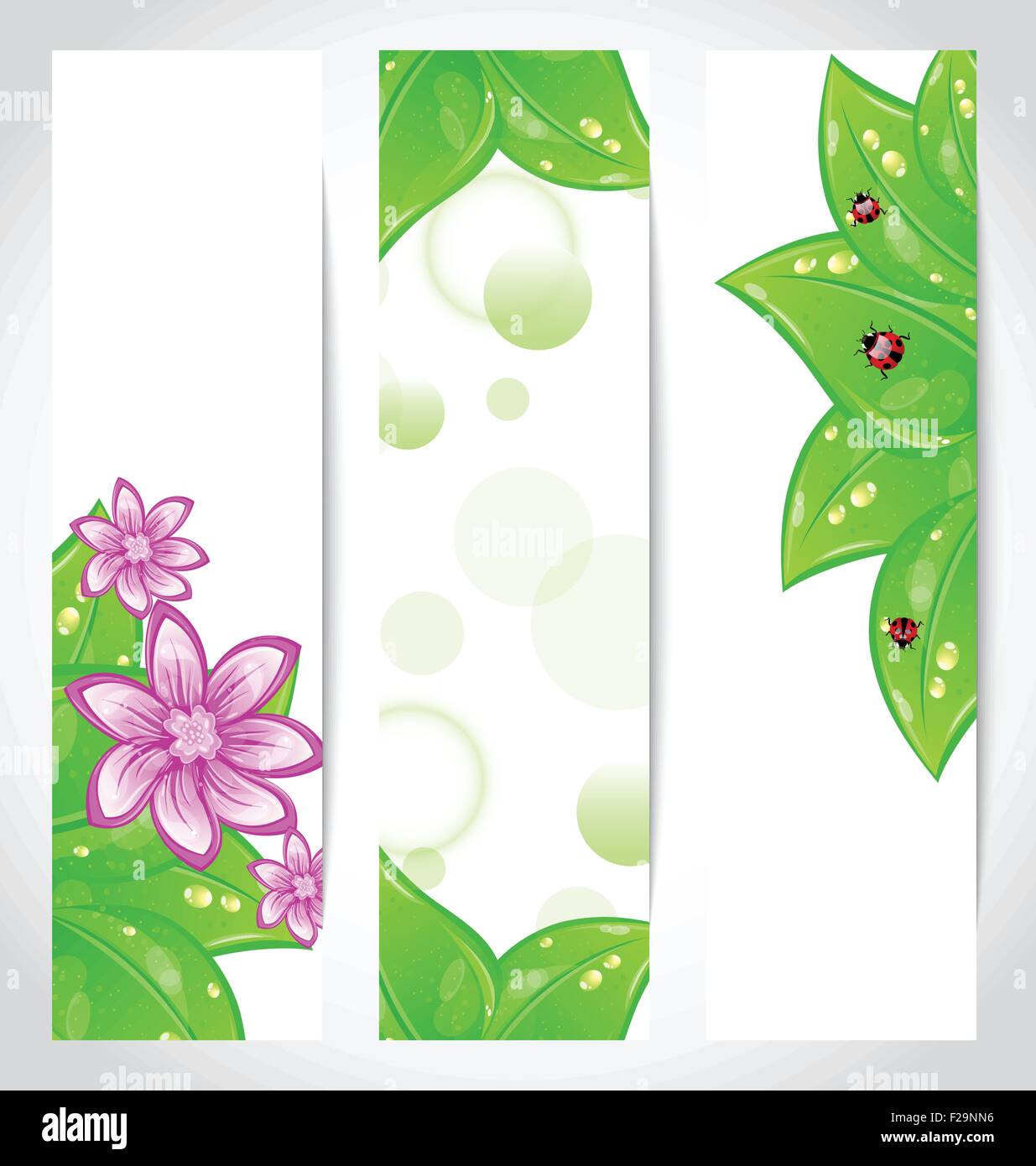 Set of bio concept design eco friendly banners Stock Vector Image & Art ...