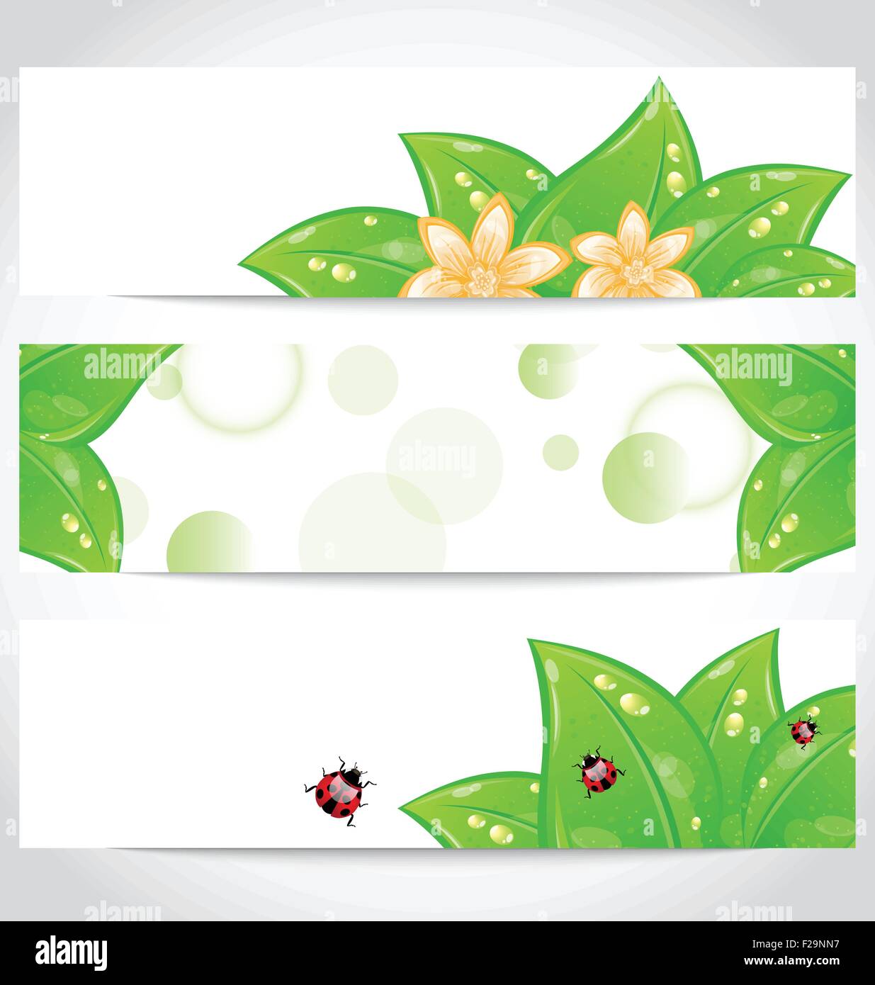 Set of bio concept design eco friendly banners (2 Stock Vector Image ...