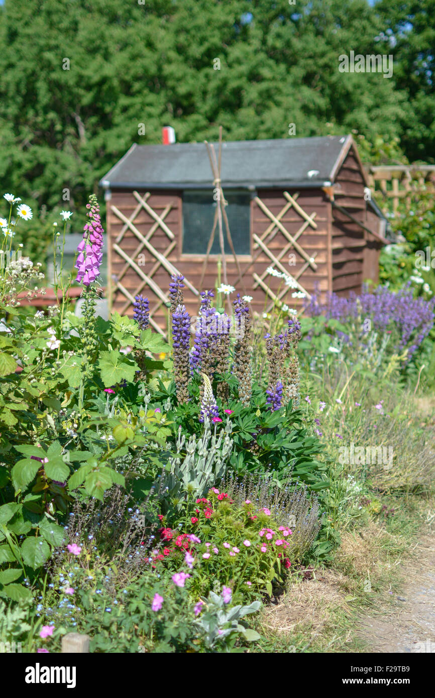 Shed garden flowers hi-res stock photography and images - Alamy
