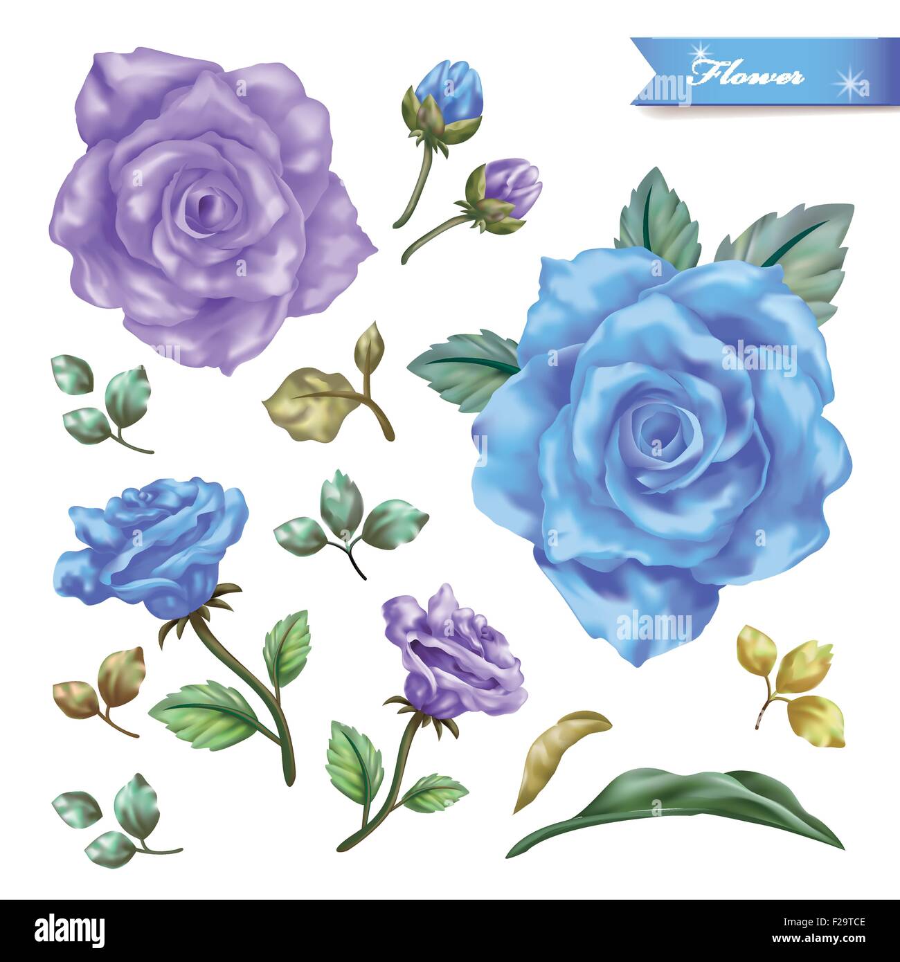 graceful exquisite roses isolated on white background Stock Vector ...