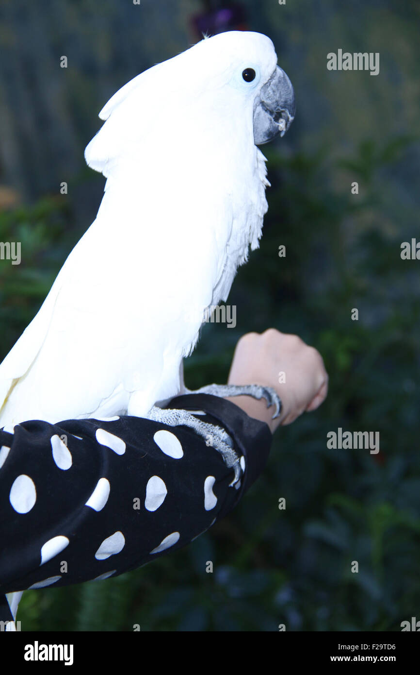 Concern Foundation presents their 41st Annual Block Party Where: Los ...