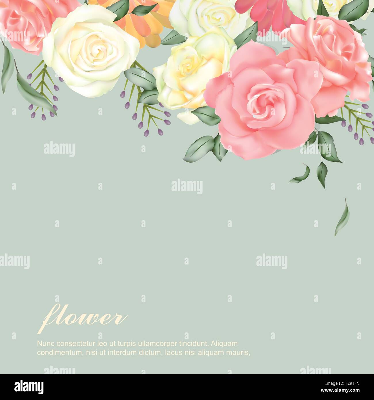 elegant flower background design with diverse roses Stock Vector Image ...