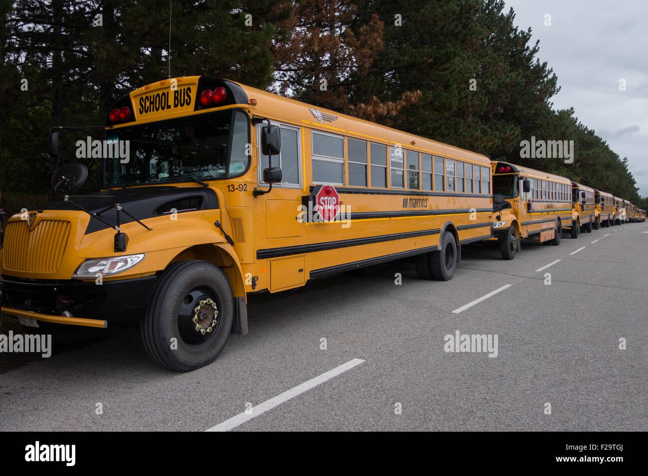 yellow school bus buses Stock Photo - Alamy
