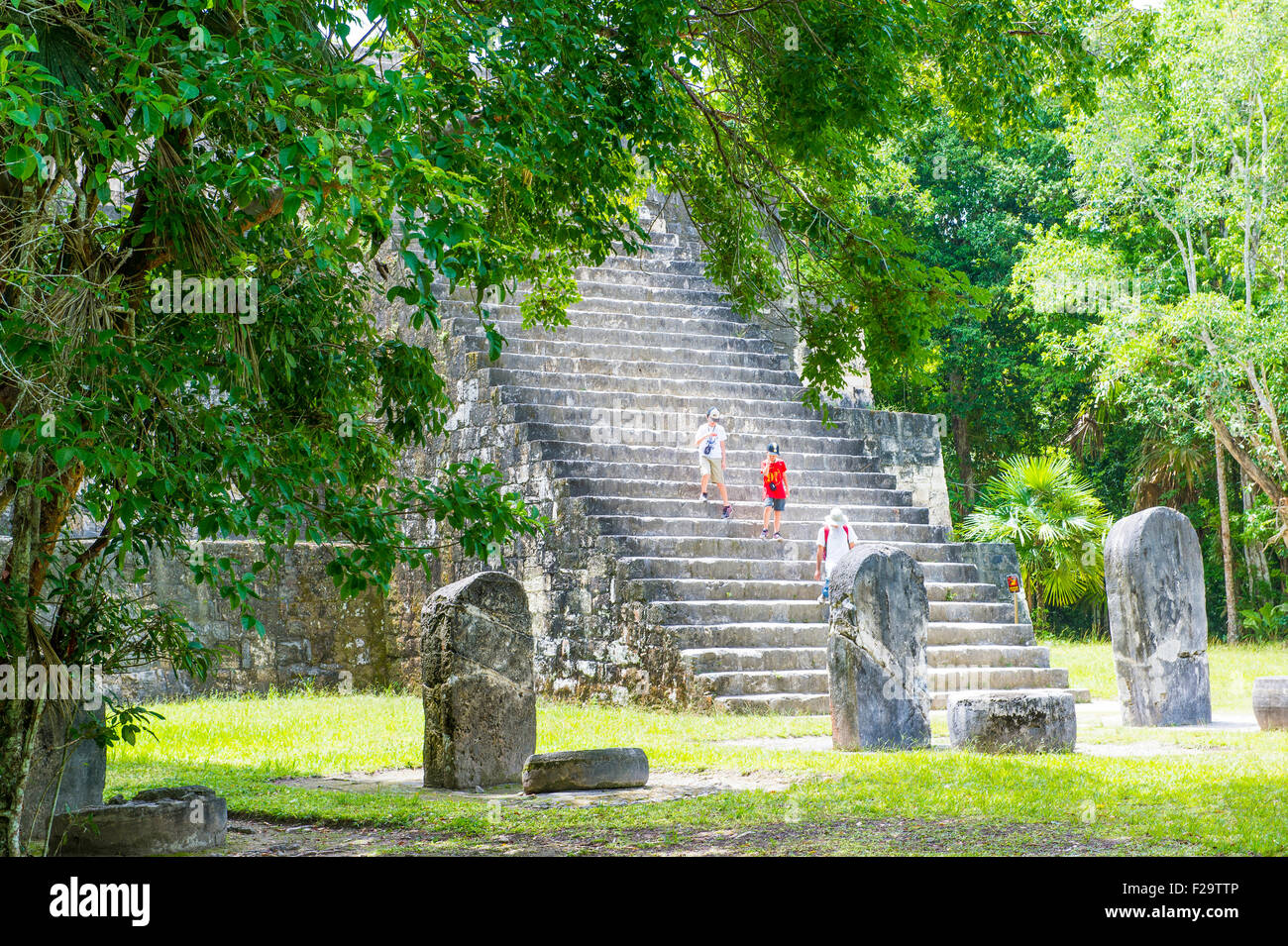 The archaeological site of the pre-Columbian Maya civilization in Tikal ...