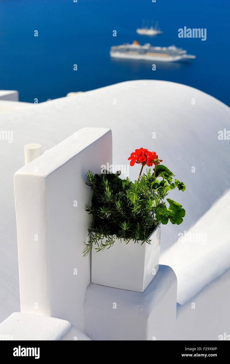 A red flower on top of a caldera rooftop with cruise ships in the ...
