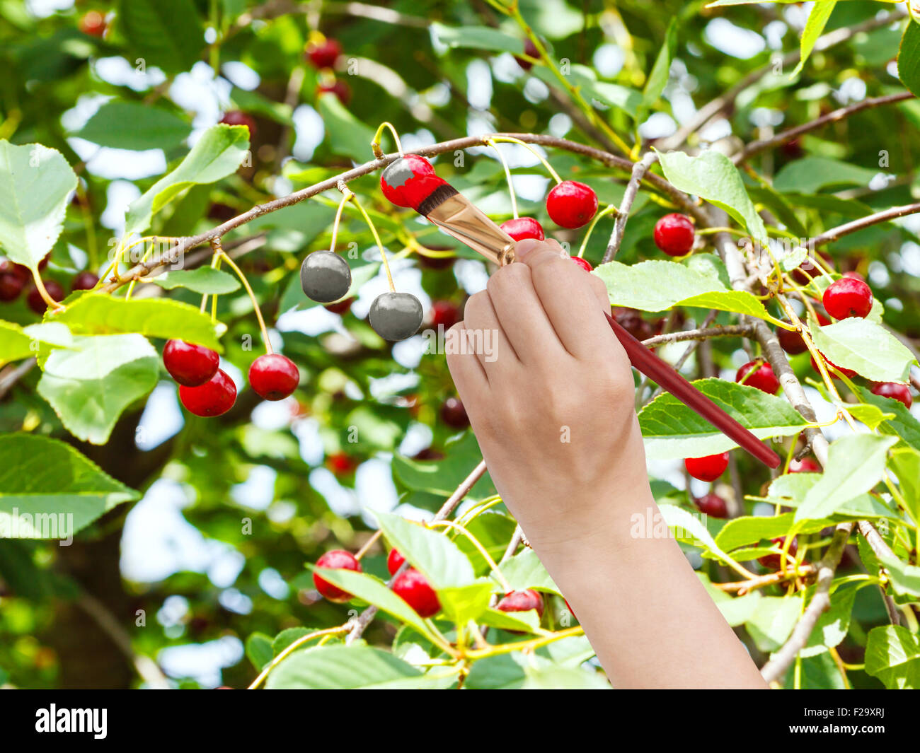 Cherry tree painting hi-res stock photography and images - Alamy