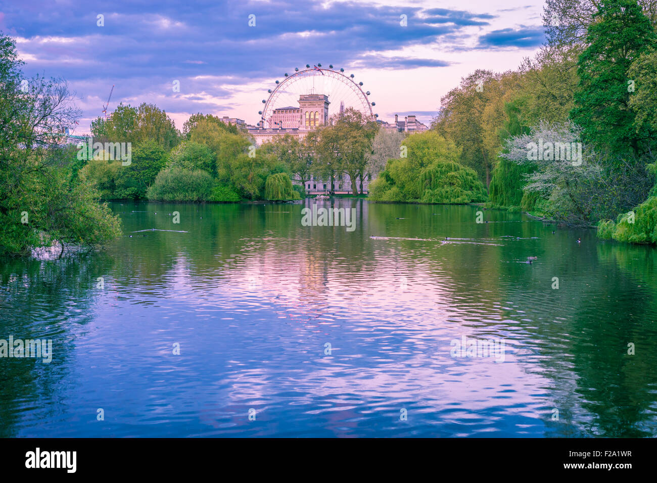 The lake in St James park, London, with the big wheel in the background ... The lake in St James park, London, with the big wheel in the background ...