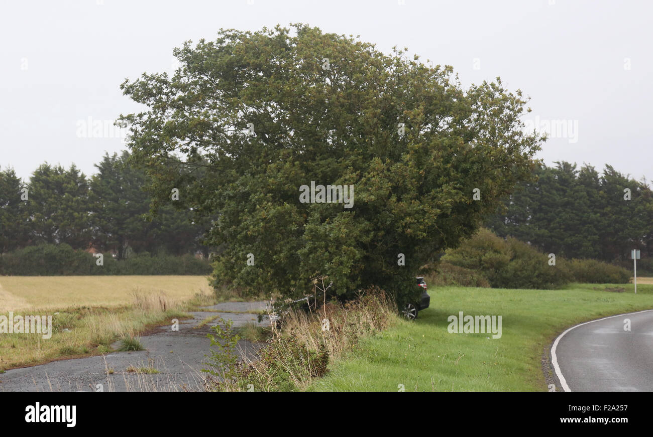 Stubbington hi-res stock photography and images - Alamy