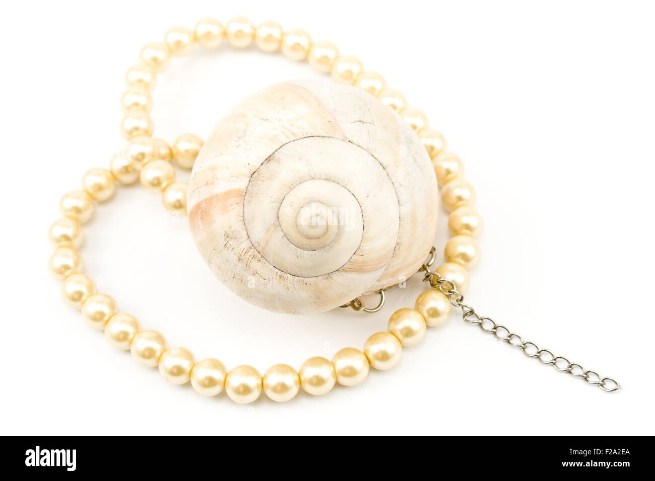 Pearl necklace with spiral seashell isolated on white Stock Photo - Alamy