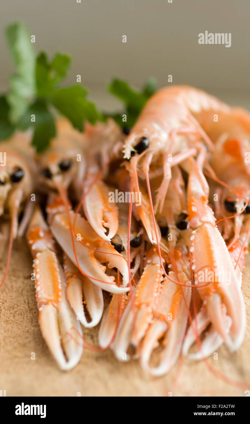 Scampi hi-res stock photography and images - Alamy