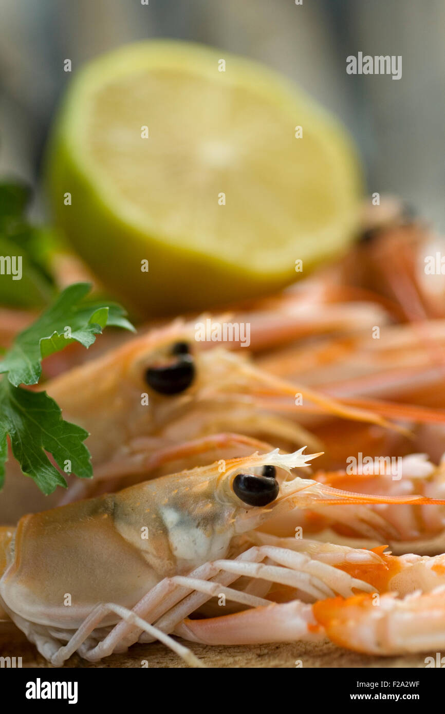 Close up of fresh scampi Stock Photo - Alamy