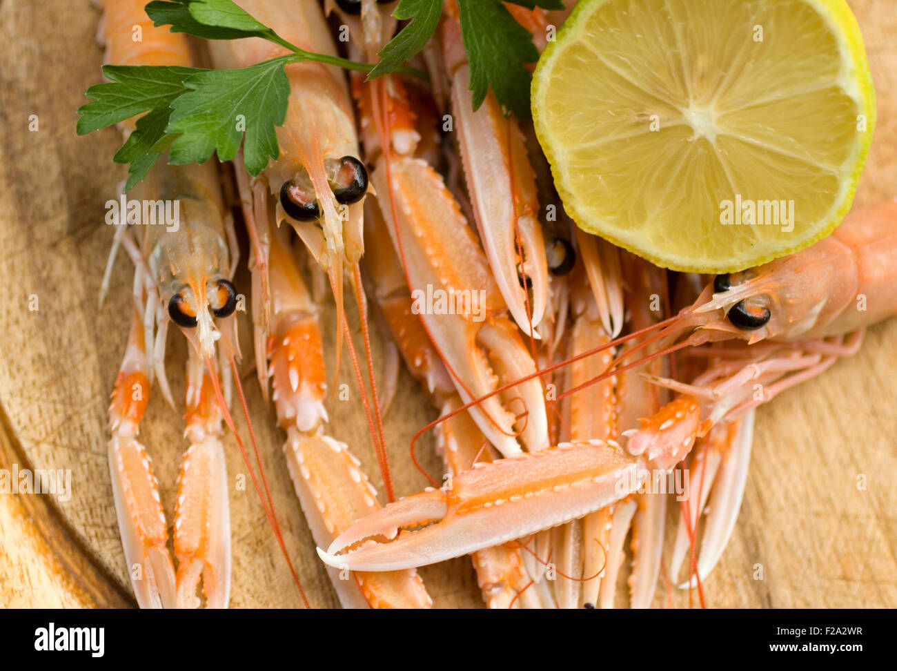 Close up of fresh scampi Stock Photo - Alamy