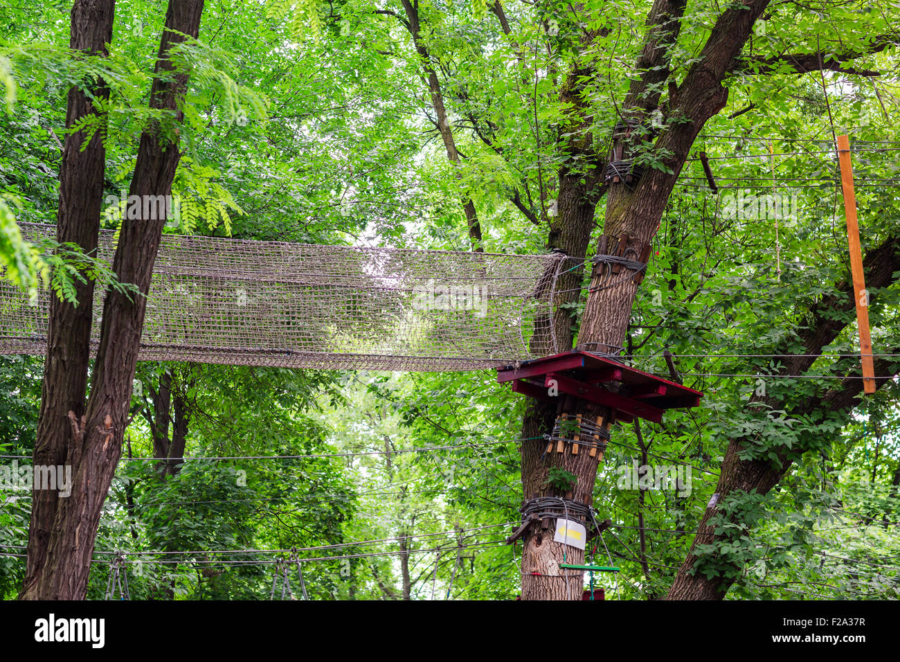 Adventure climbing high wire park, rope extreme park Stock Photo - Alamy