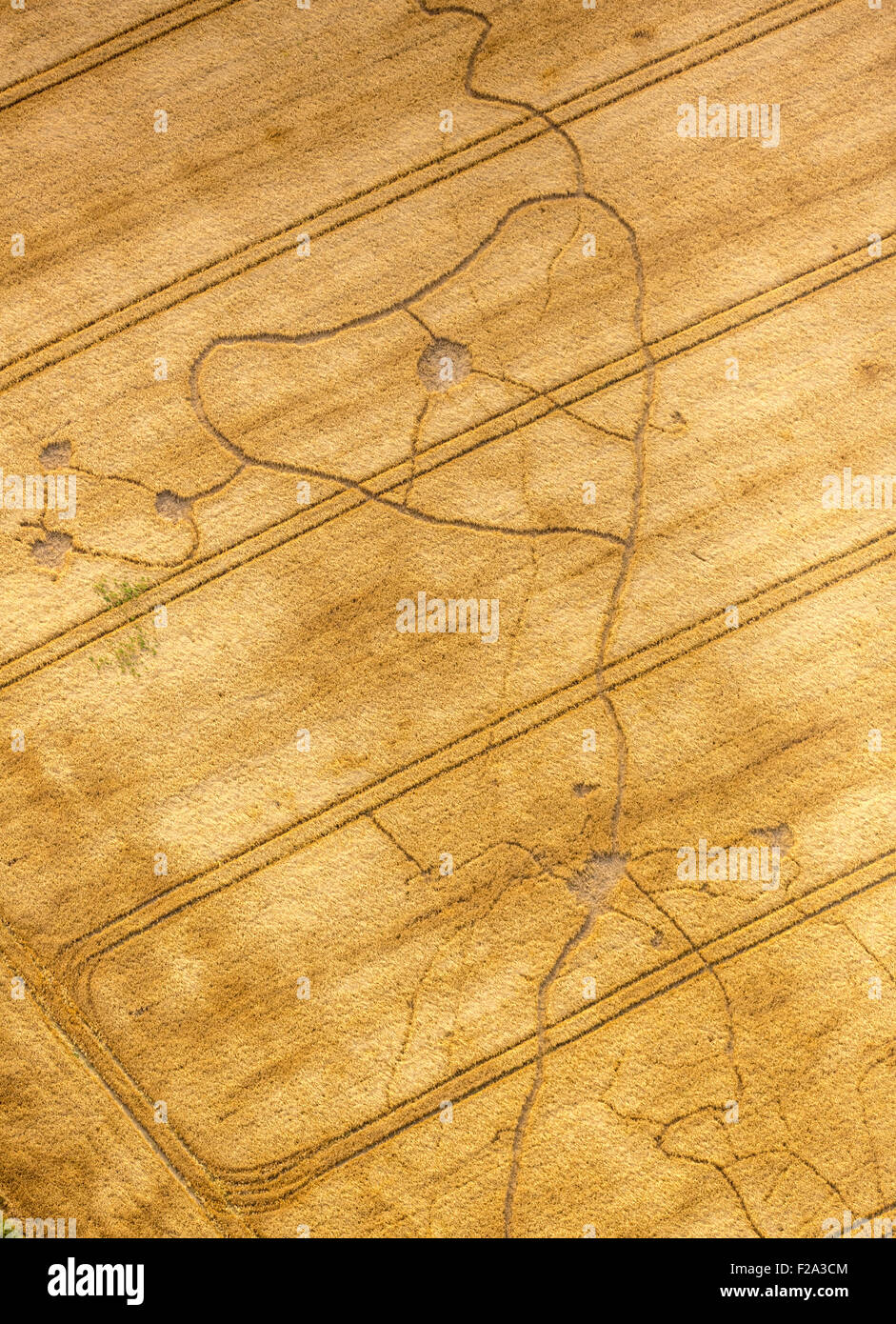 Moles track hi-res stock photography and images - Alamy