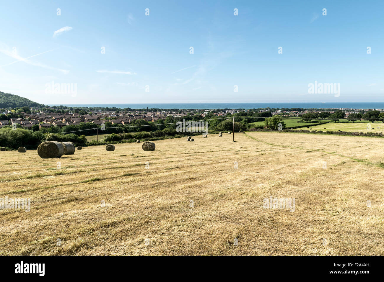 Hay bales drying in the sun at Abergele North Wales Stock Photo - Alamy