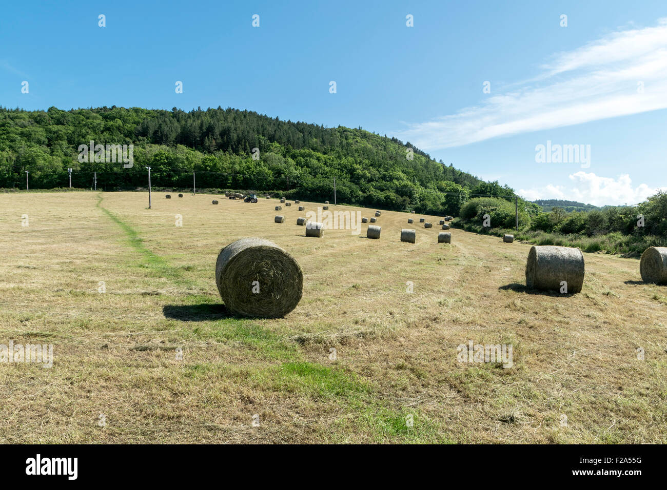 Hay bales drying in the sun at Abergele North Wales Stock Photo - Alamy