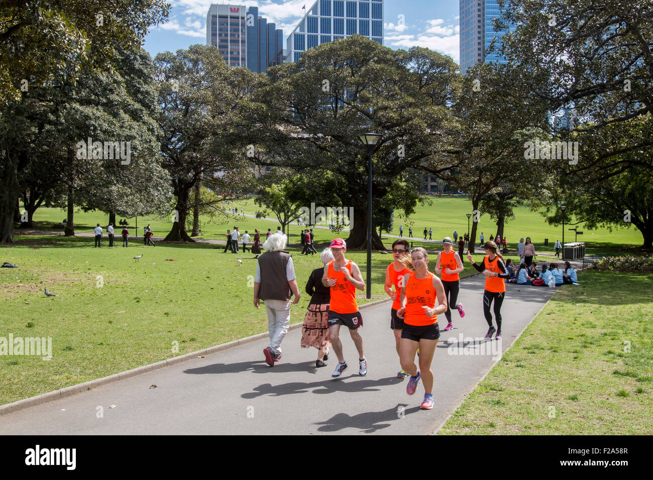 group of city workers running and jogging at lunchtime in the Domain ...