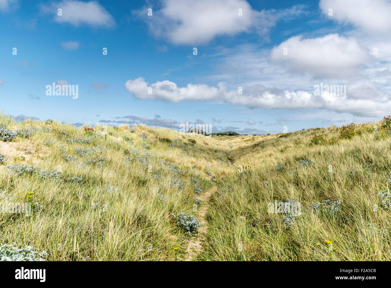 Conwy morfa sand dunes hi-res stock photography and images - Alamy