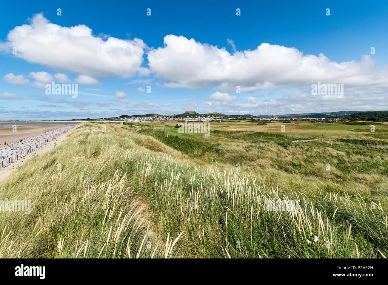 Morfa Conwy beach dunes on the North Wales Coast looking towards ...
