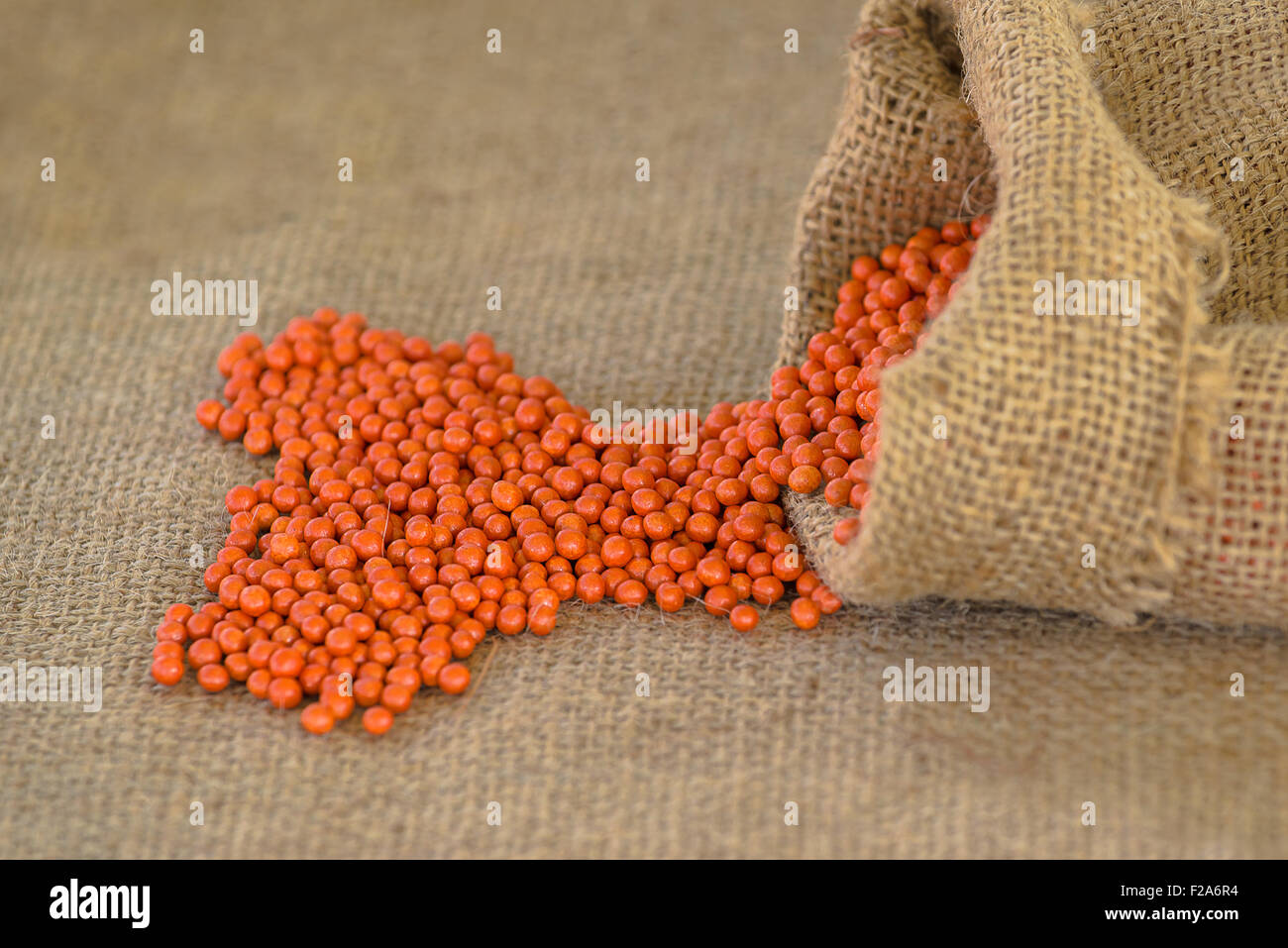 Sugar beet seed hi-res stock photography and images - Alamy