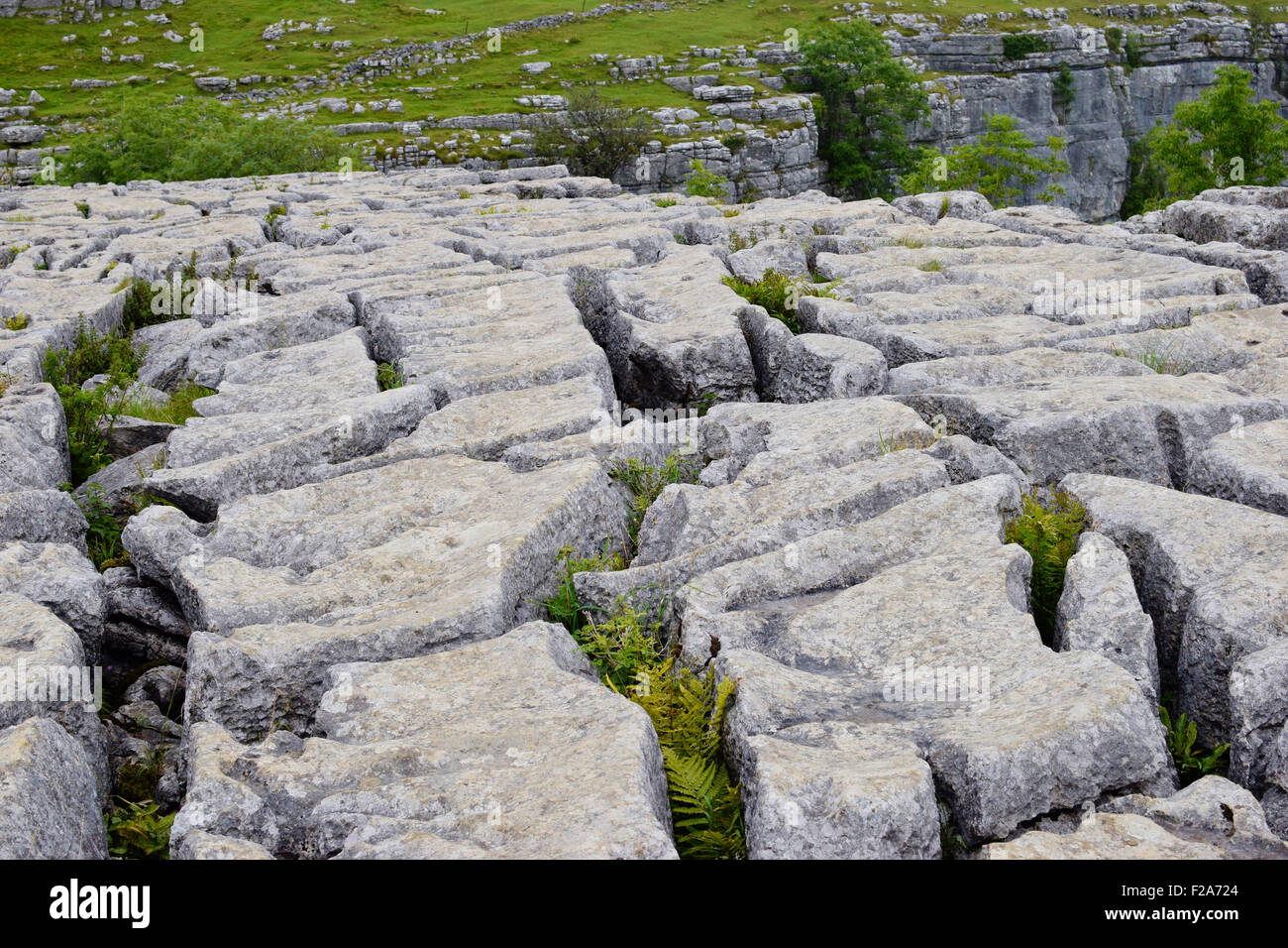 Limestone Pavement rock formations above Malham Cove. Malham, Yorkshire ...