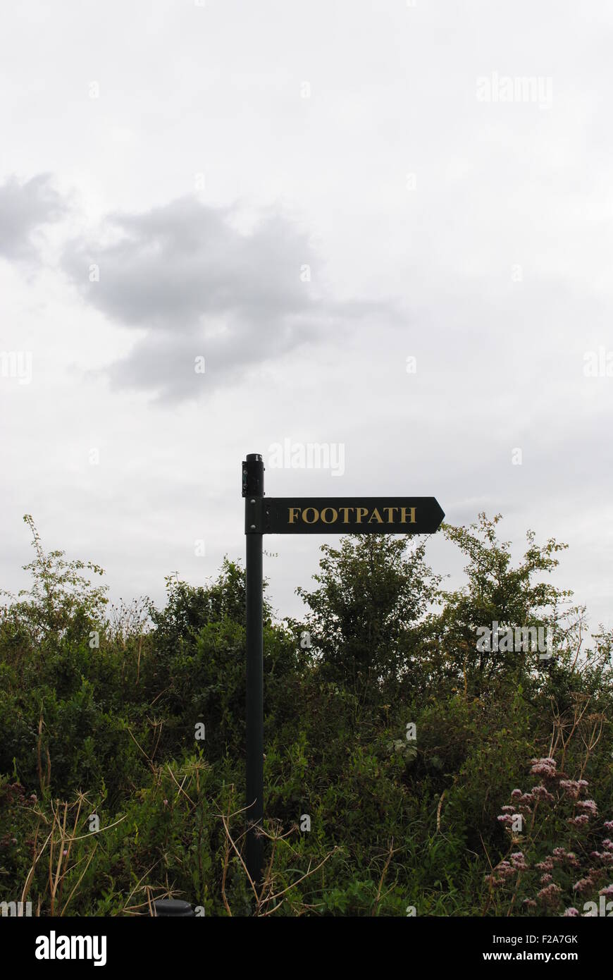 Lewes downs nature reserve hi-res stock photography and images - Alamy