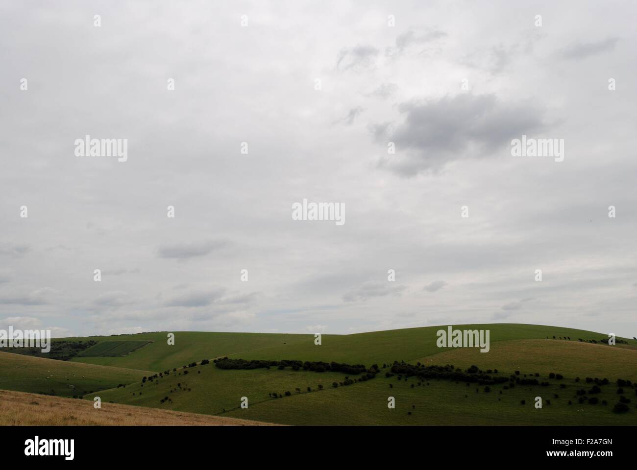 Lewes downs nature reserve hi-res stock photography and images - Alamy