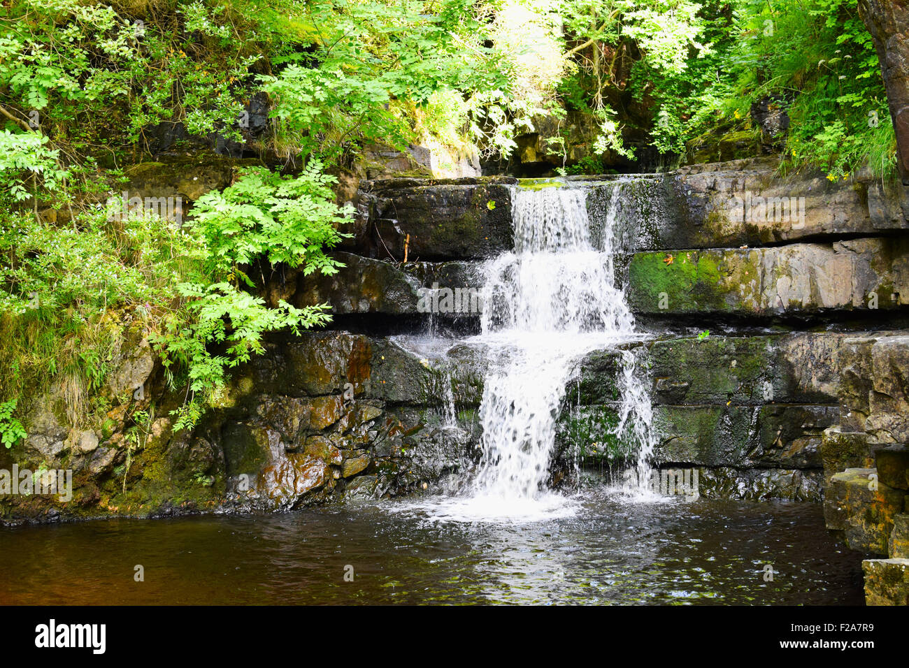 Waterfall on Bow Lee Beck, Bowlees, Teesdale, England Stock Photo - Alamy