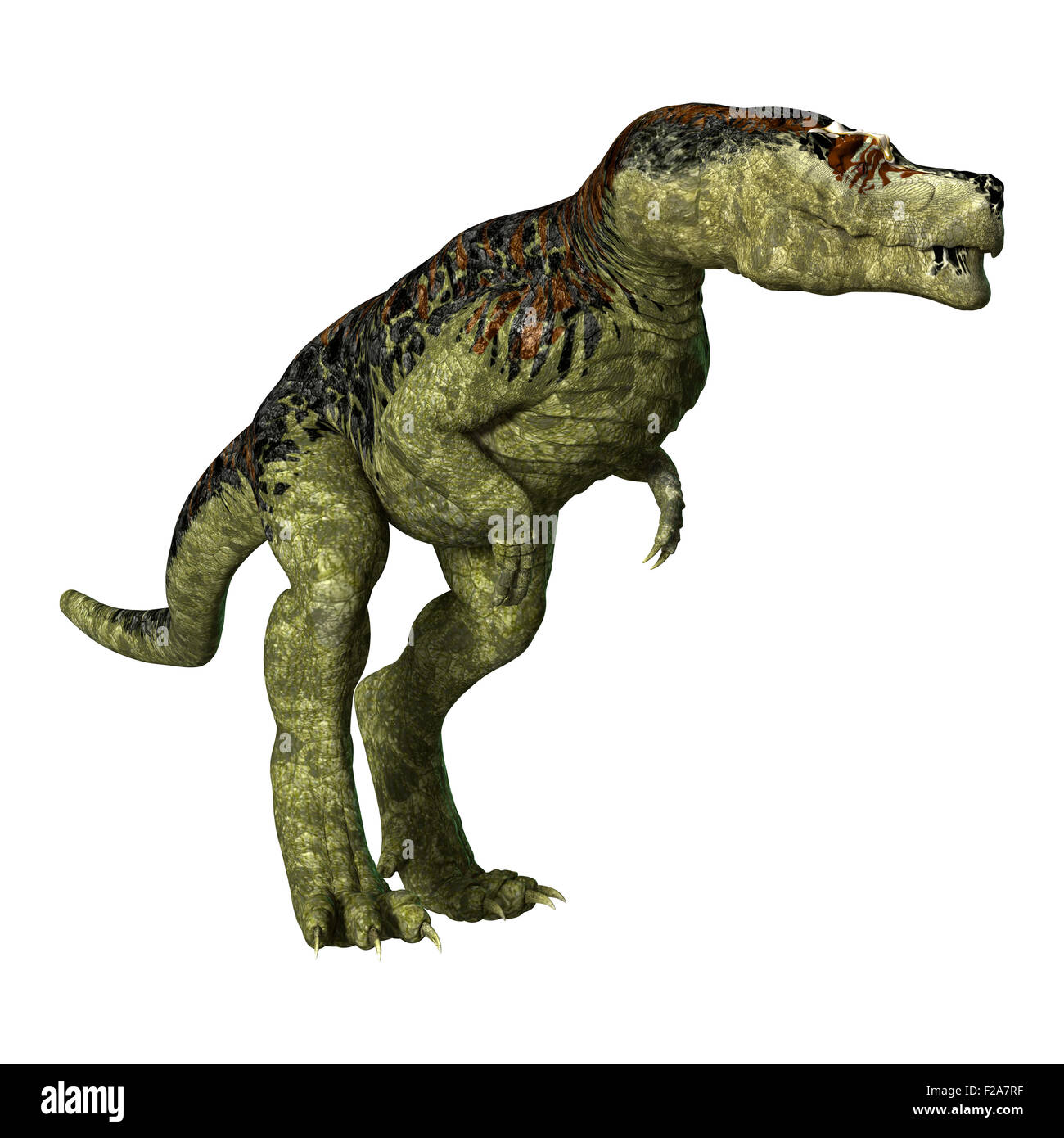 3D digital render of a dinosaur Tyrannosaurus Rex isolated on white ...