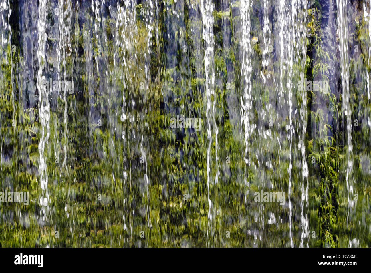 Closeup of water flowing over a weir covered in plant life. Photograph ...