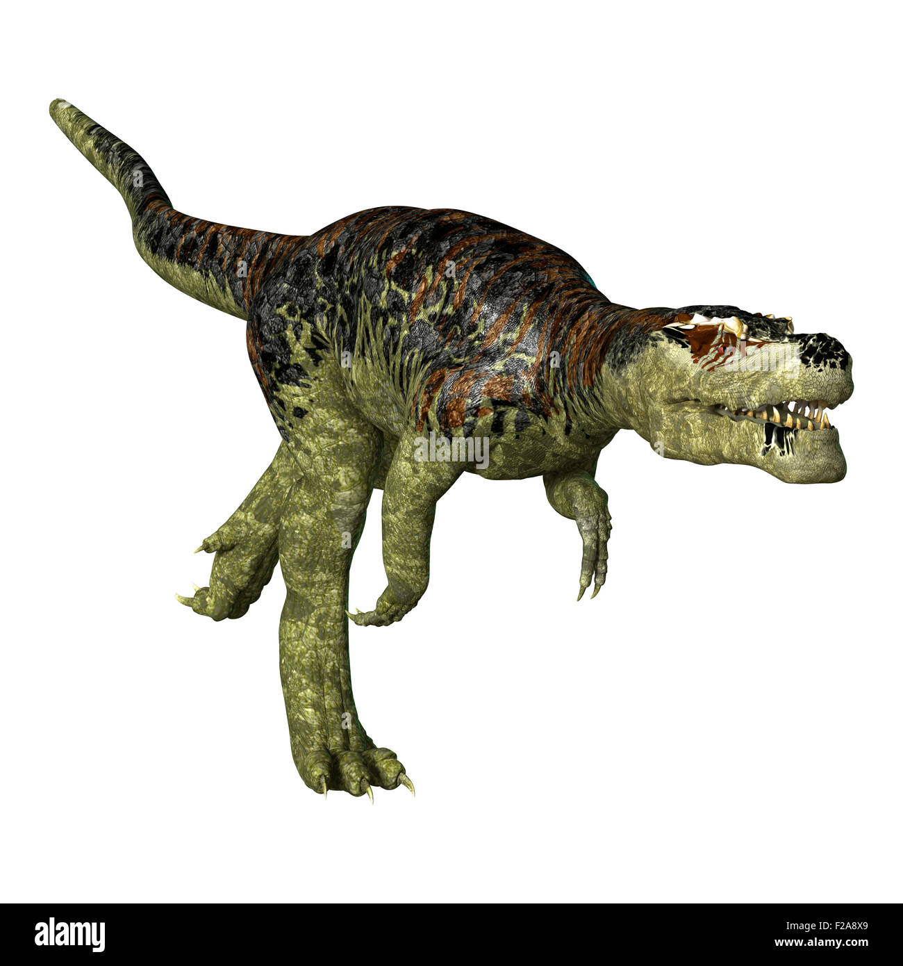3D digital render of a dinosaur Tyrannosaurus Rex running isolated on ...