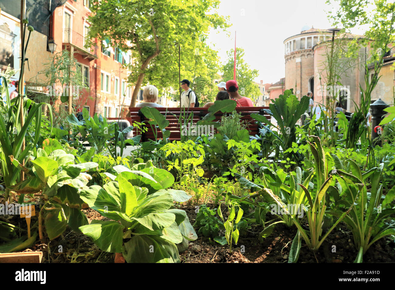 Community garden hi-res stock photography and images - Alamy