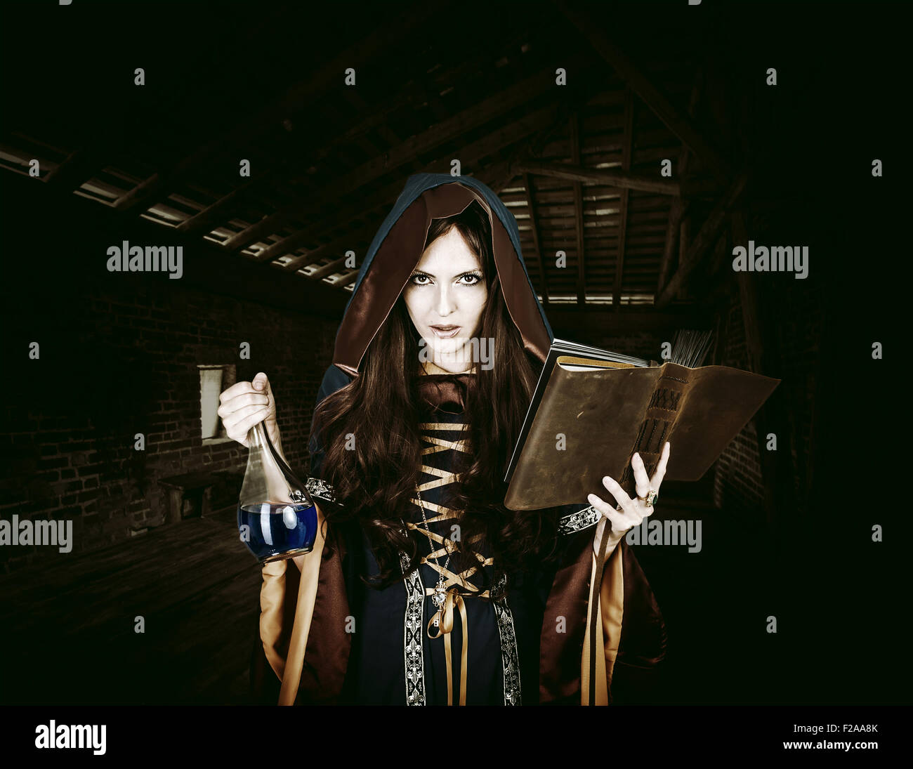 Beautiful young halloween witch wearing vintage gothic dress with hood ...