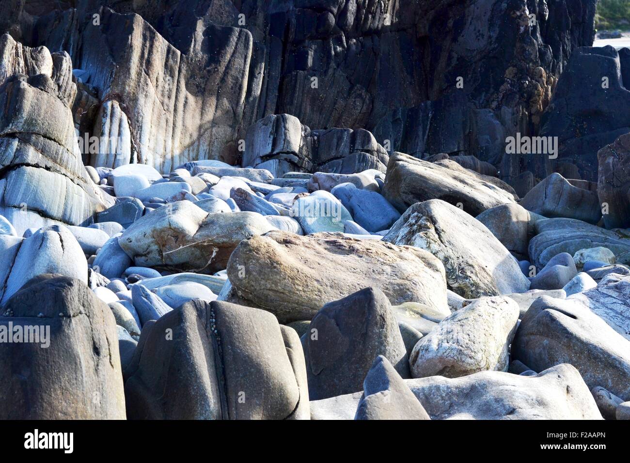 Beach pebbles rocks shells hi-res stock photography and images - Alamy