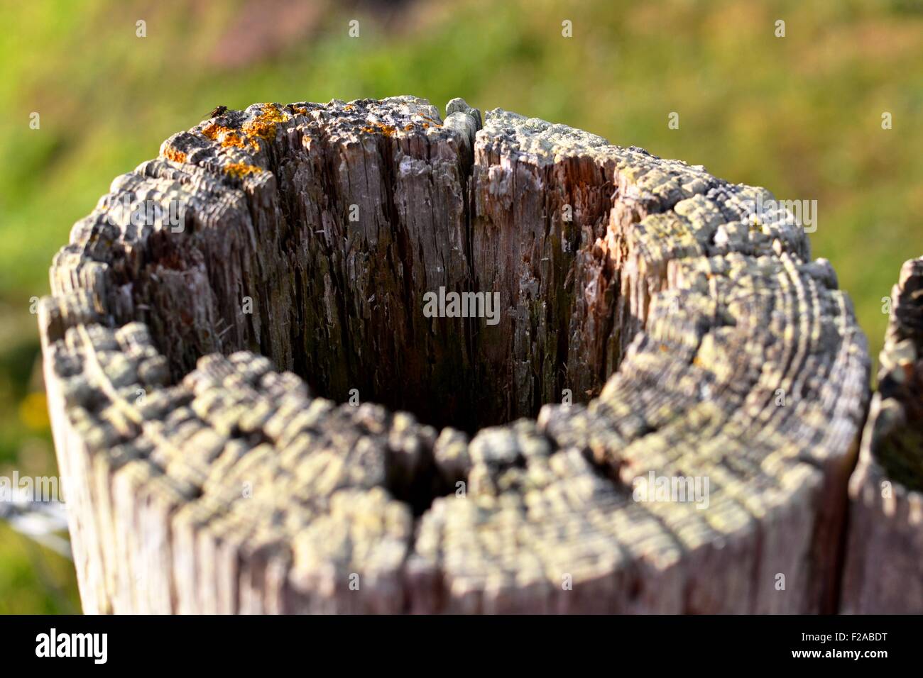 wooden fence post Stock Photo - Alamy
