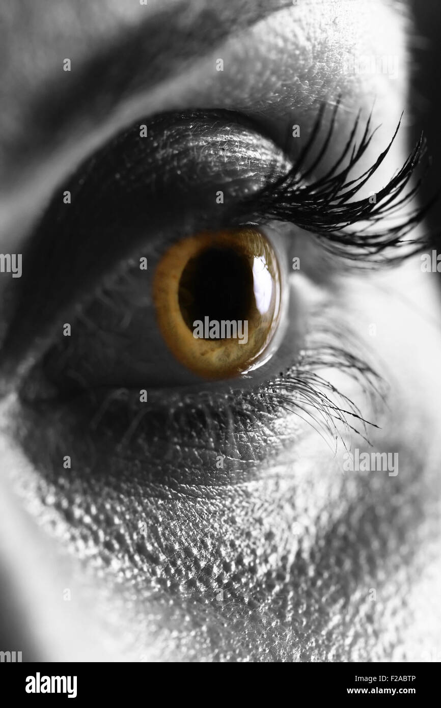 Extreme macro view on human brown eye Stock Photo - Alamy