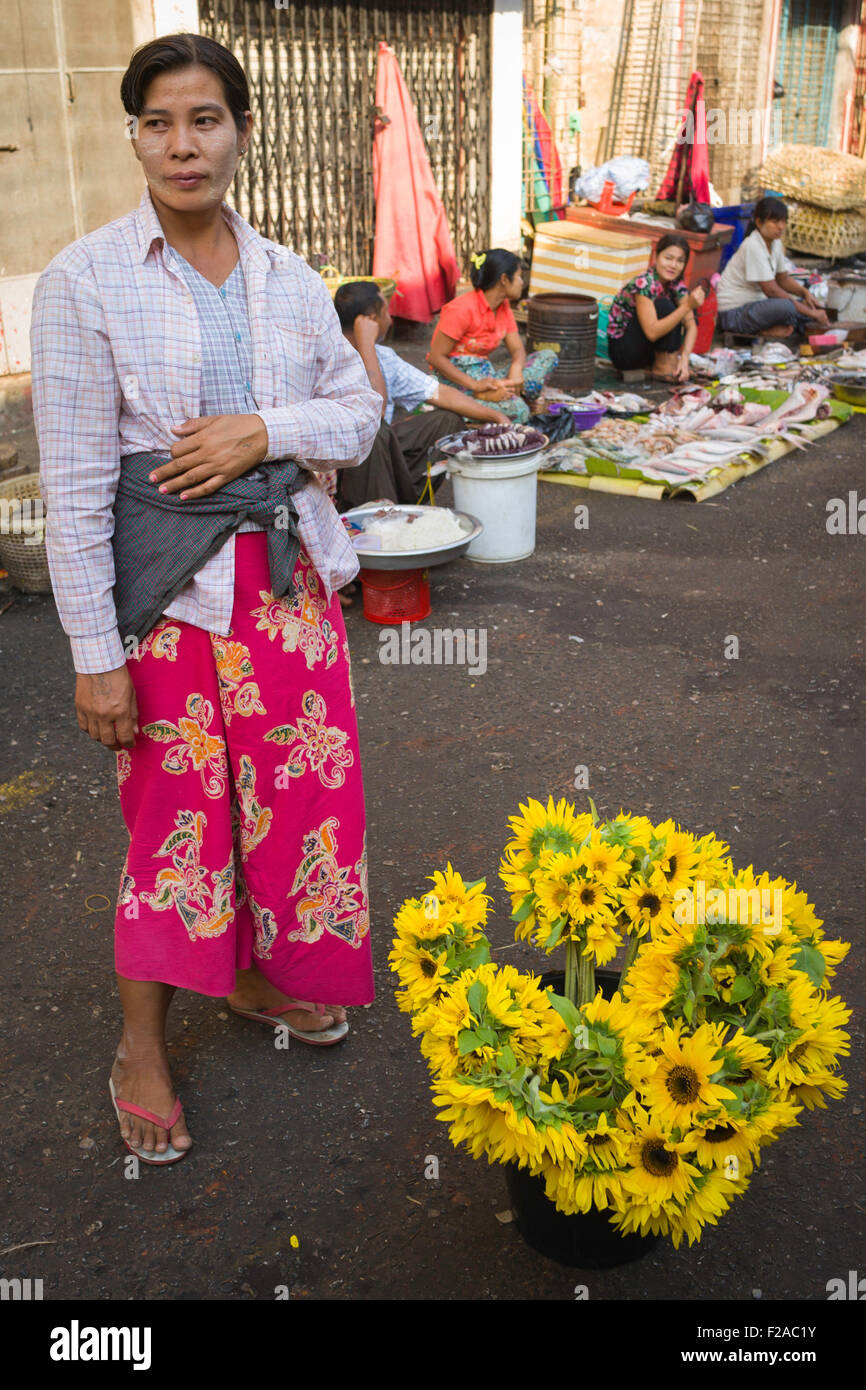 Myanmar flower hi-res stock photography and images - Alamy