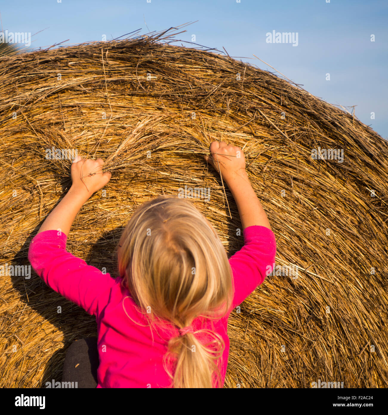 Child blond Girl by straw hay bale in field, meadow, smiling, playing ...